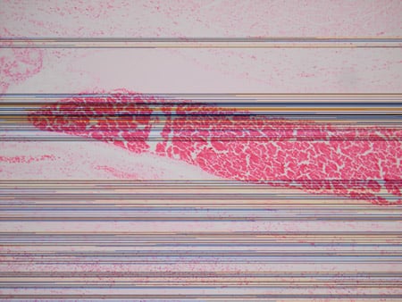 オリンパス お知らせ： 顕微鏡用デジタルカメラDP25をお使いのお客様へのお知らせ